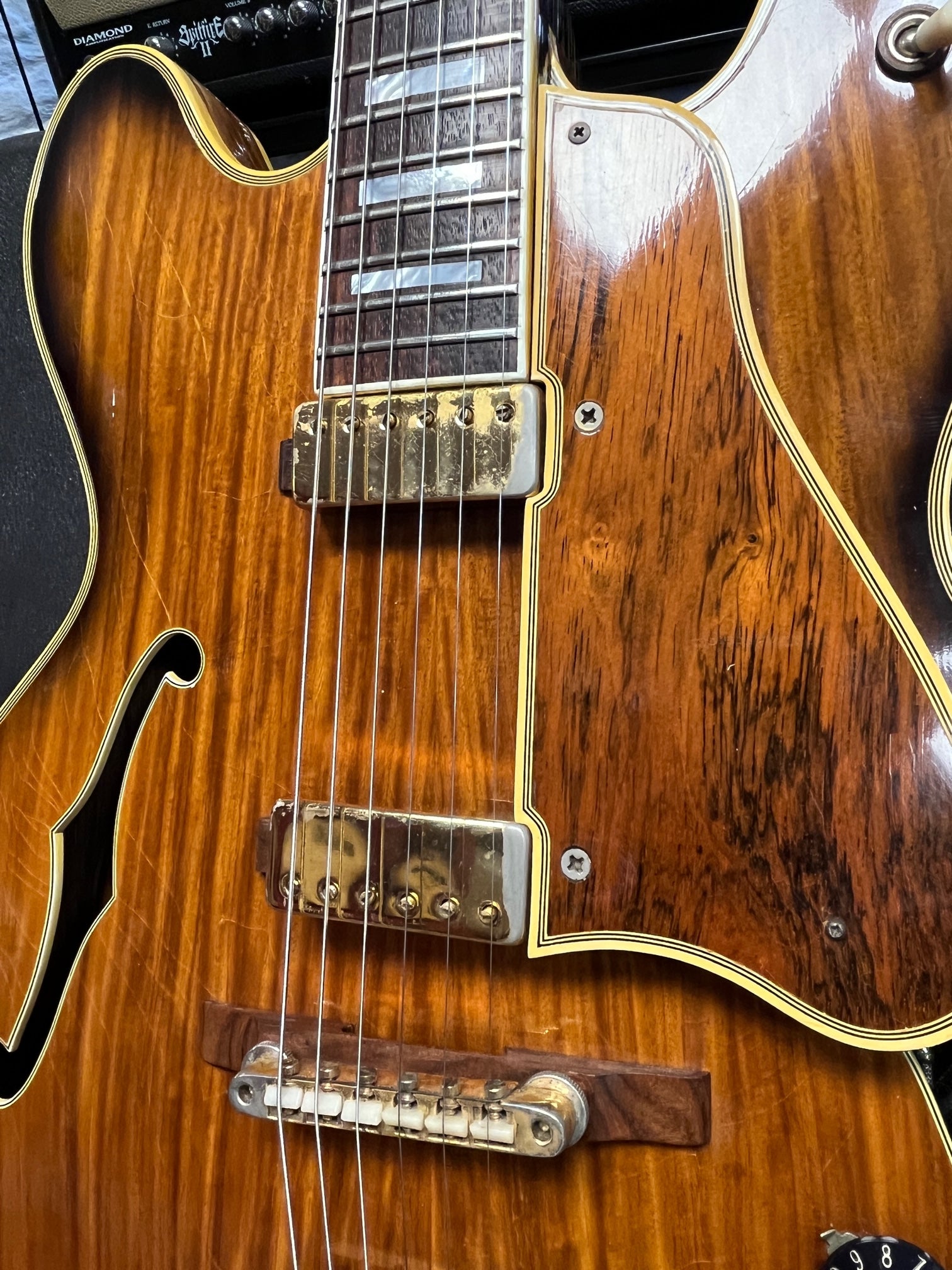 Gibson Crest "Gold" Thinline Brazilian Rosewood 1969 – MotoMusic