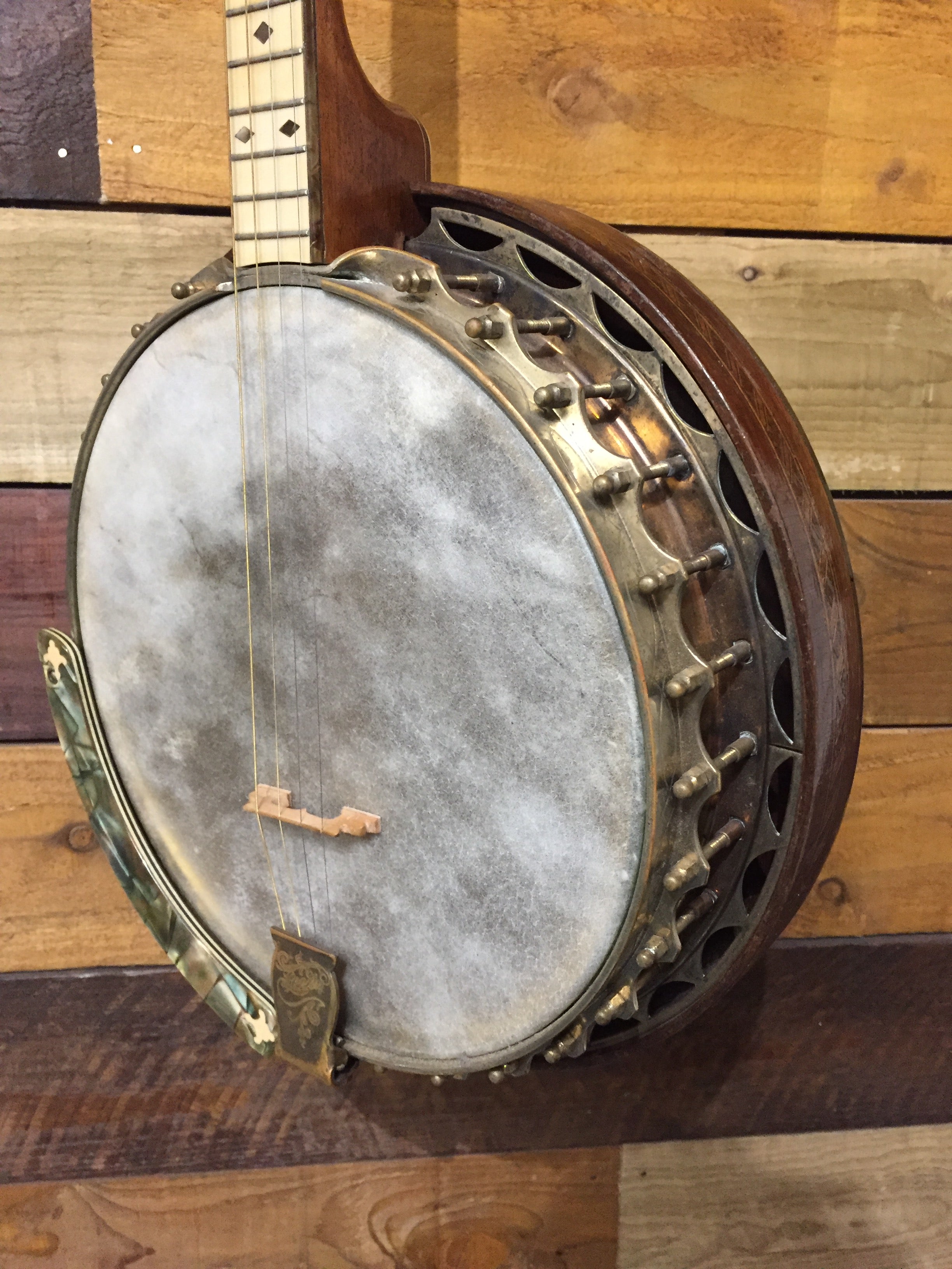Leedy Apollo Tenor Banjo 1926-30 – MotoMusic