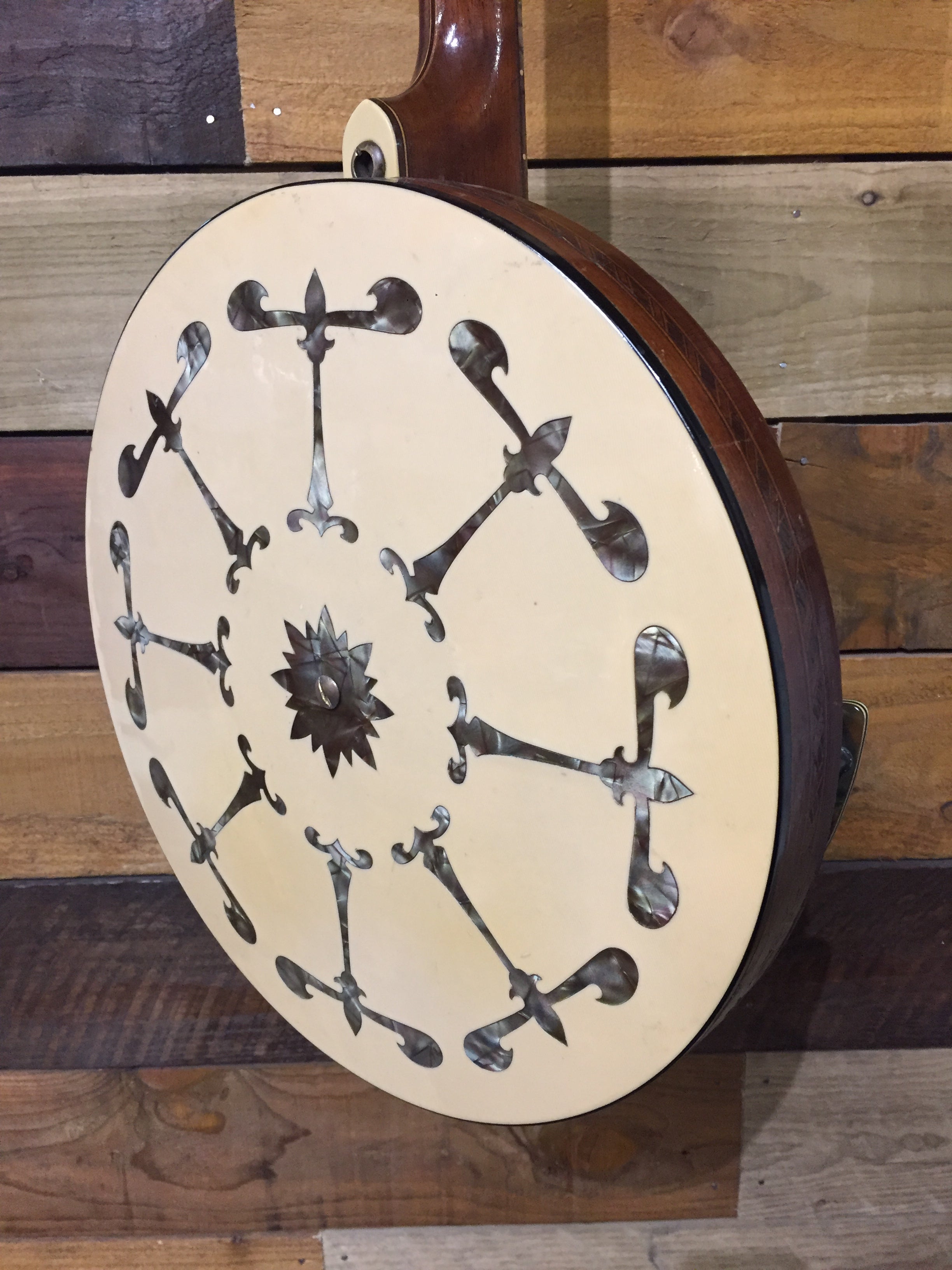Leedy Apollo Tenor Banjo 1926-30 – MotoMusic
