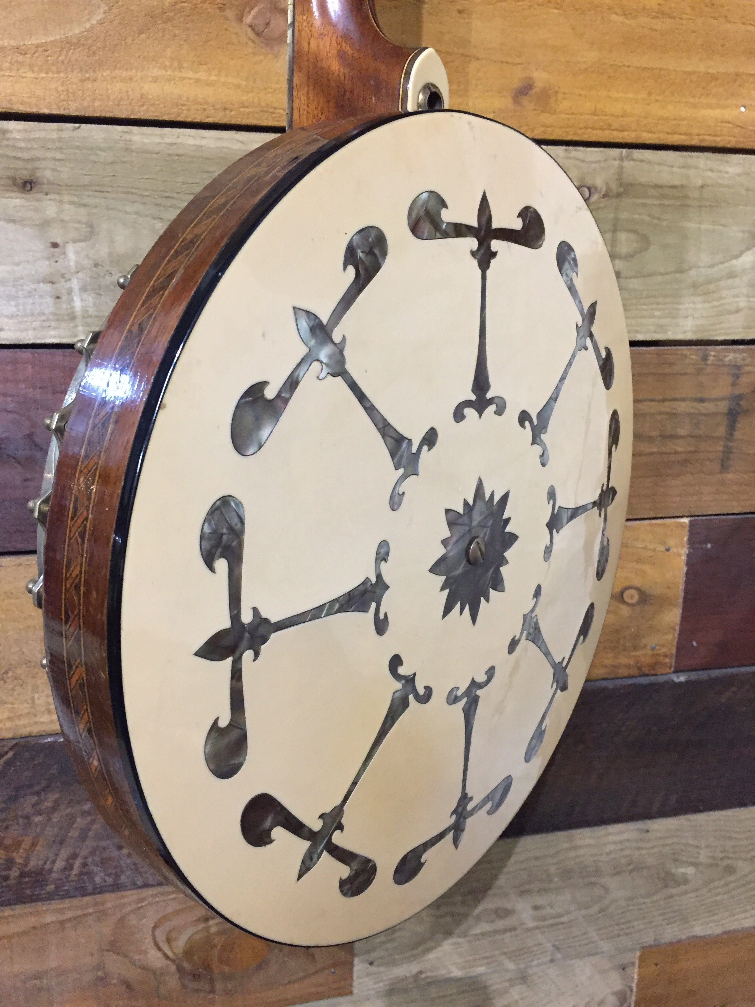 Leedy Apollo Tenor Banjo 1926-30 – MotoMusic