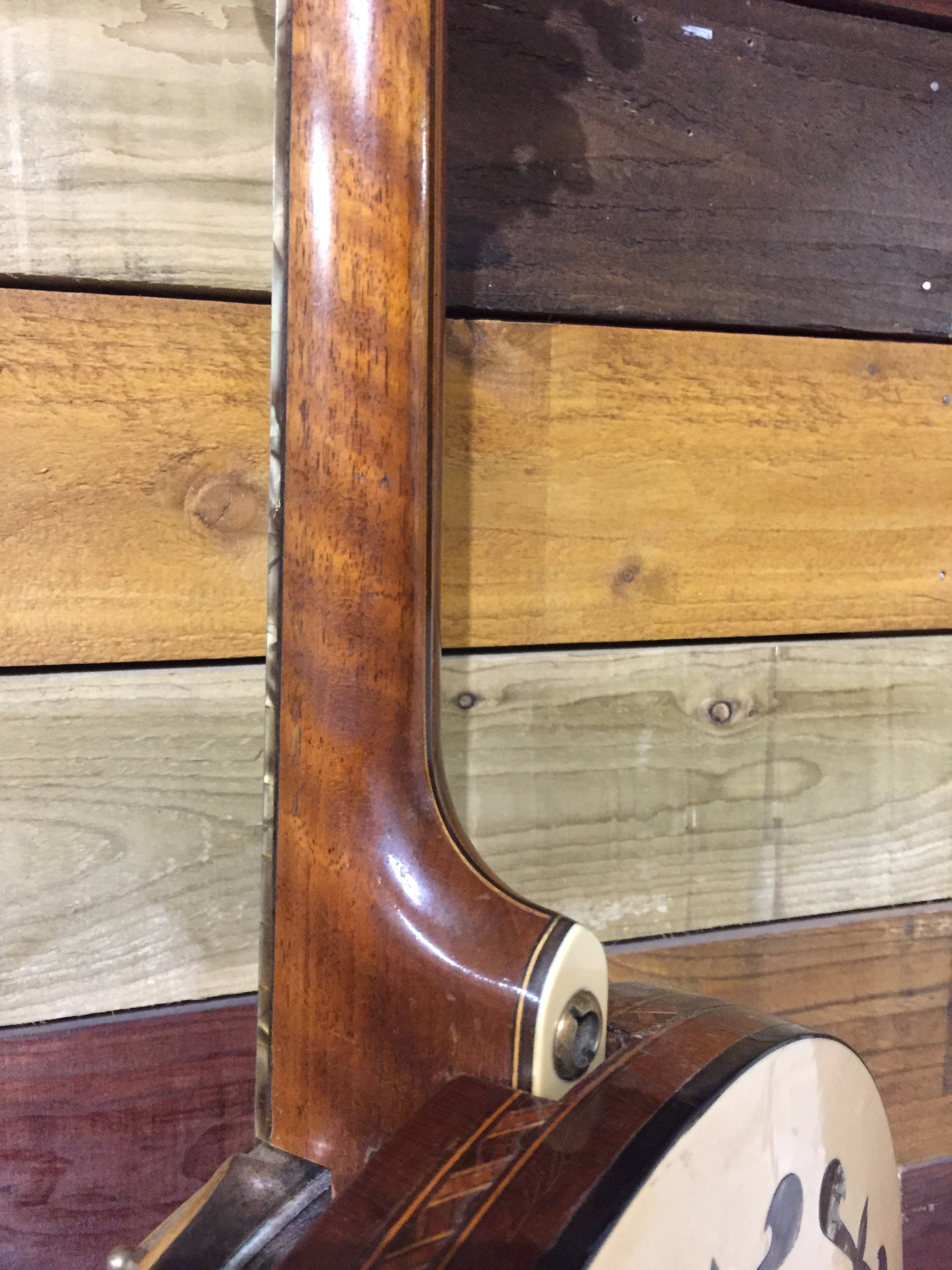 Leedy Apollo Tenor Banjo 1926-30 – MotoMusic