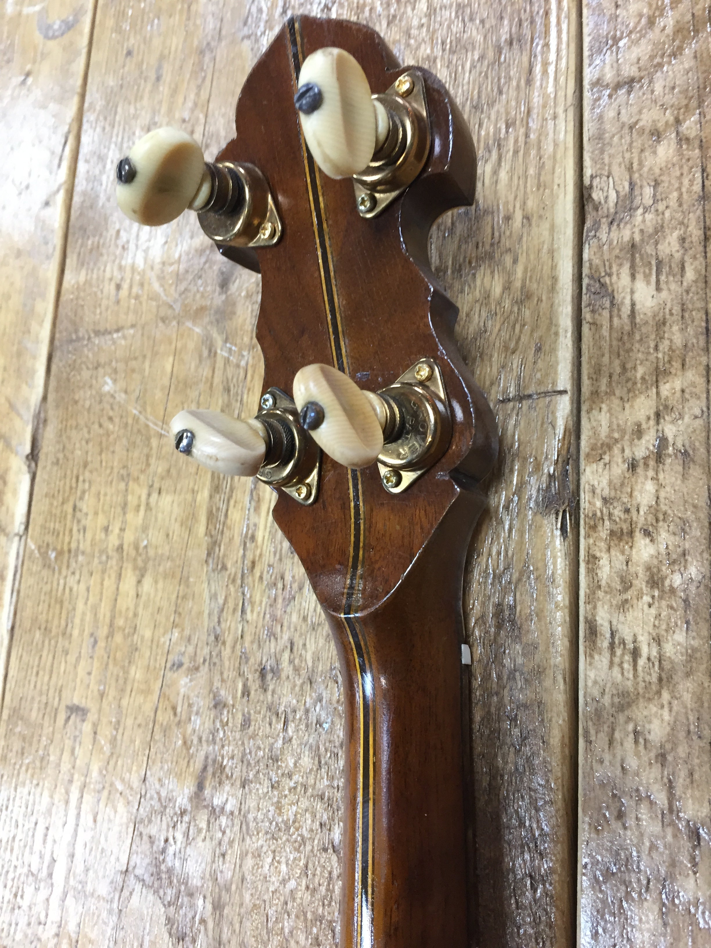 Leedy Apollo Tenor Banjo 1926-30 – MotoMusic